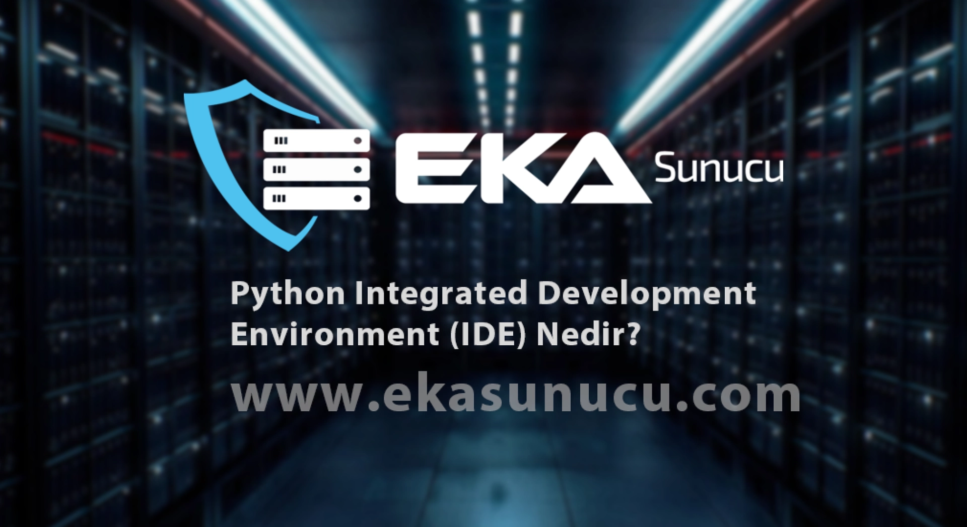 Python Integrated Development Environment (IDE) Nedir? - Eka Sunucu ...