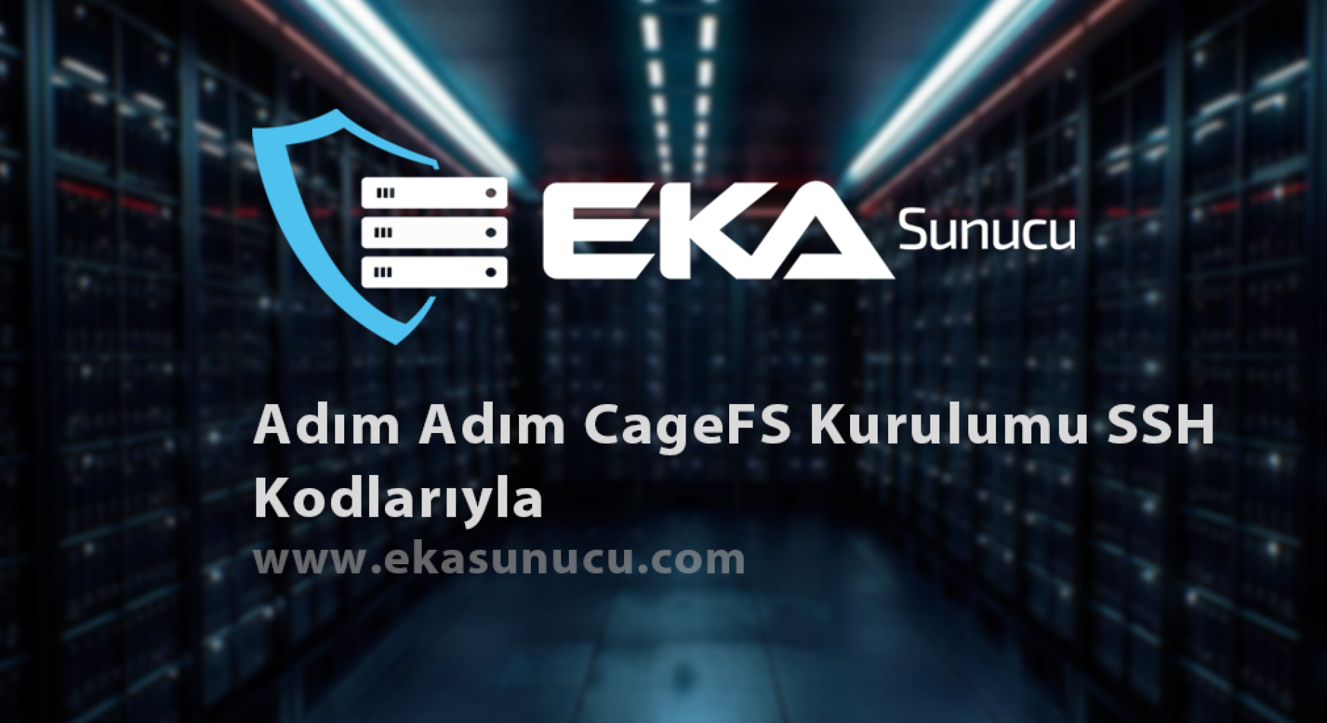 Step By Step Guide To Installing Cagefs With Ssh Commands Eka Cloud Intelligent Web Solutions