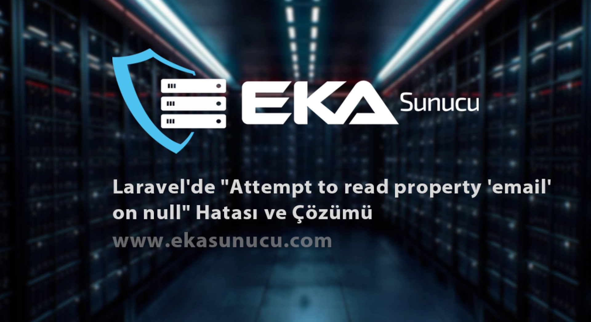 Attempt to read property 'email' on null Laravel Error and Solution